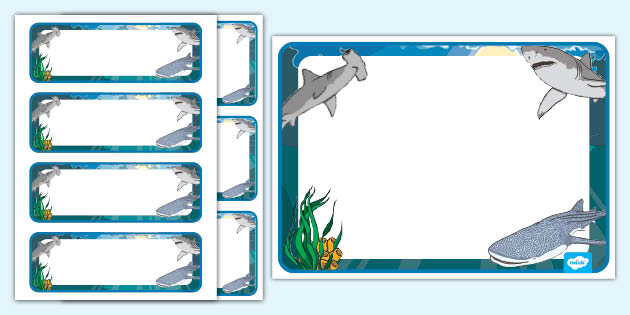 Editable Shark Themed Classroom Display Labels - KS1