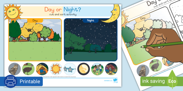 Day And Night Pictures To Sort