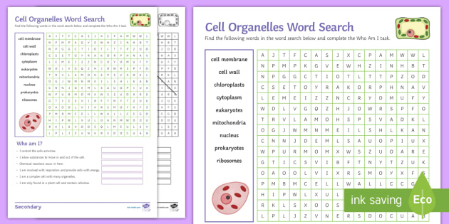 Cell Organelles Word Search