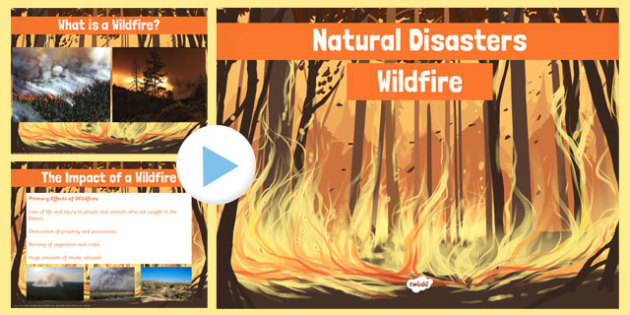 Wildfires KS2 PowerPoint - Natural Disasters (teacher made)