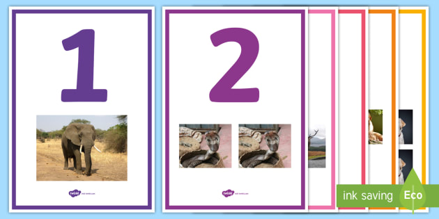 Numbers 1 to 20 Animal Display Posters (teacher made)