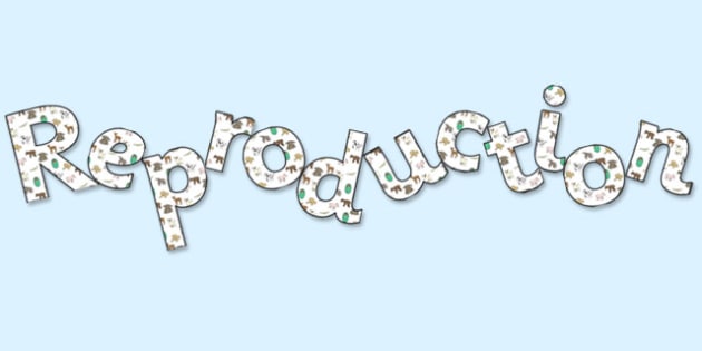 'Reproduction' Display Lettering (teacher made)