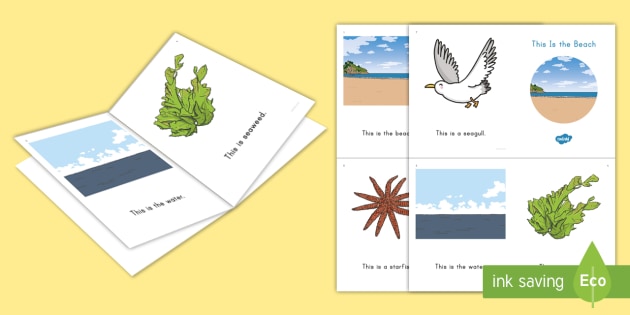 This Is the Beach Emergent Reader (teacher made)