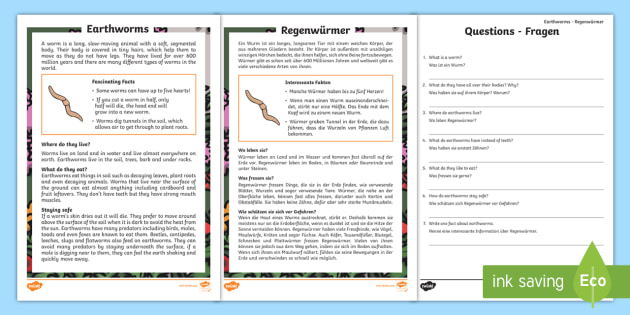Earthworm Reading Comprehension Worksheet / Worksheets English/German