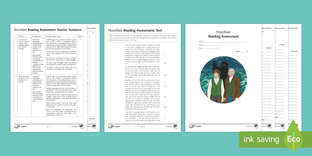 'Moonfleet' Reading Assessment Pack (teacher made)