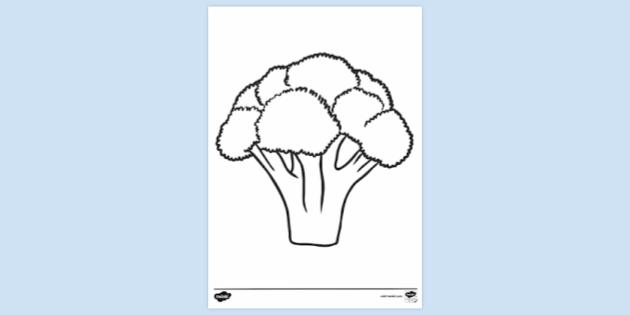 FREE! - Broccoli Colouring Sheet | Colouring Sheets - Twinkl