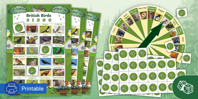 * NEW * British Birds Bingo Spinner Board Game for EYFS and KS1 Kids