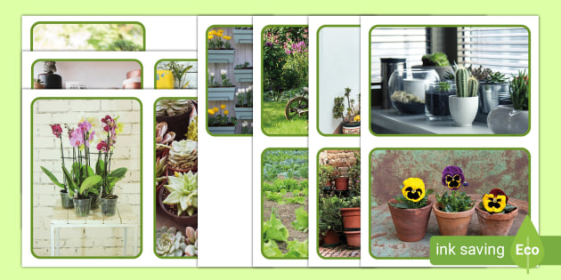 Indoor and Outdoor Plants Display Cards | Twinkl