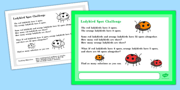 Ladybird Spot Maths Challenge A4 Display Posters