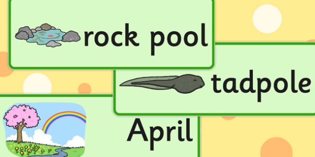 Two Syllable Final 'L' Sound Word Cards (teacher made)