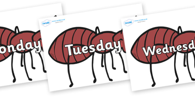 FREE! - Days of the Week on Ants (teacher made)