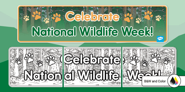 National Wildlife Week Banner (teacher made)