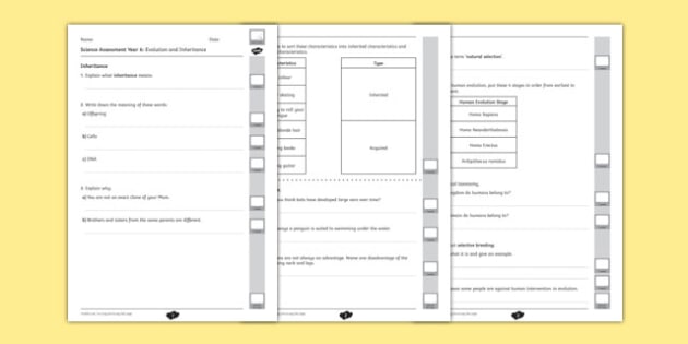 Y6 Evolution and Inheritance End of Unit Assessment