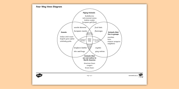Four Way Venn Diagram Template | Twinkl Editable Chart