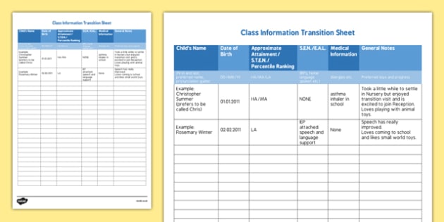 ROI Class Information Transition Sheet Checklist - Irish