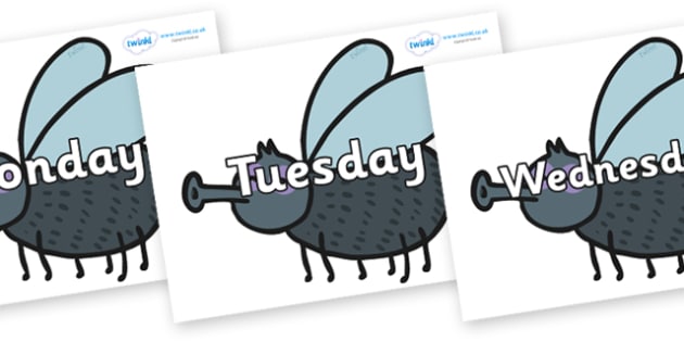 Days of the Week on Flies