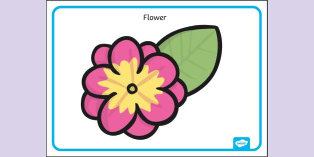Simple Flower Poster | Primary Resources | Display Posters