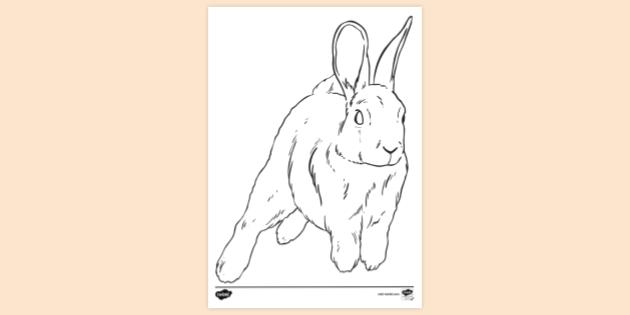 FREE! - Hopping Bunny Colouring Sheet | Colouring Sheets