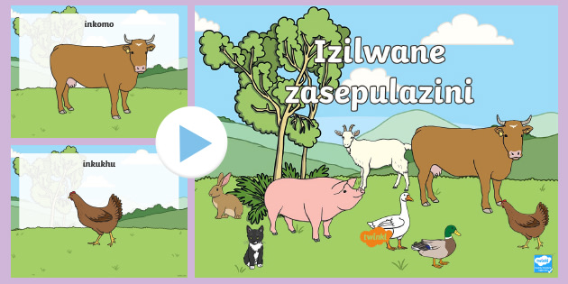 FREE! - Zulu Animal Names | Farm Animal PowerPoint | South Africa