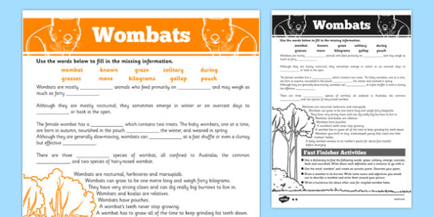 Life Cycle of a Wombat Differentiated Worksheet