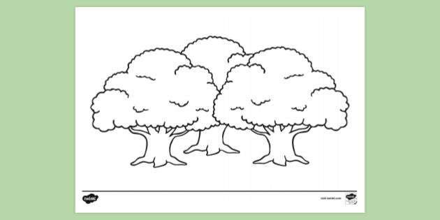 FREE! - Trees Colouring Sheet | Colouring Sheets