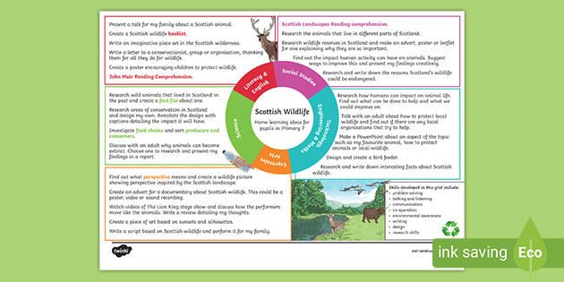 Scottish Wildlife P7 Mini Home Learning Topic (teacher made)