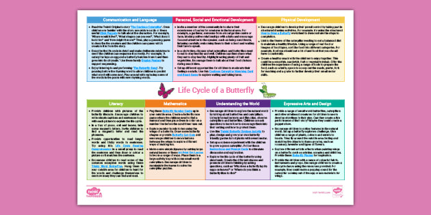 EYFS Reception Topic Planning Web: Life Cycle of a Butterfly (New EYFS ...