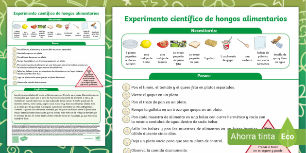 Experimento Sobre El Crecimiento Del Moho Del Pan Vídeos De
