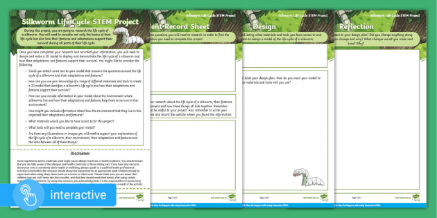 Silkworm Life Cycle STEM Project