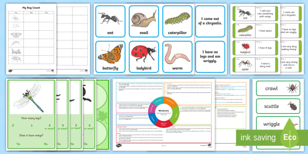 CfE Minibeasts Early Level IDL Resource Pack (teacher made)