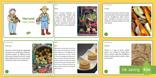 Harvest Fact Cards (teacher made)