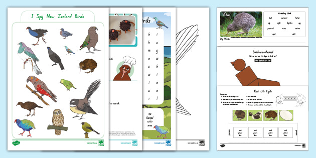 Maths Mystery and More - Native Bird Theme Pack