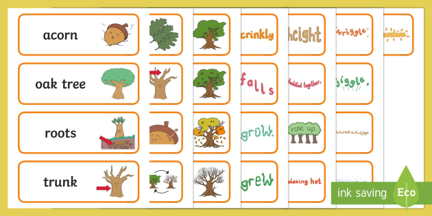Little Acorns Word Cards