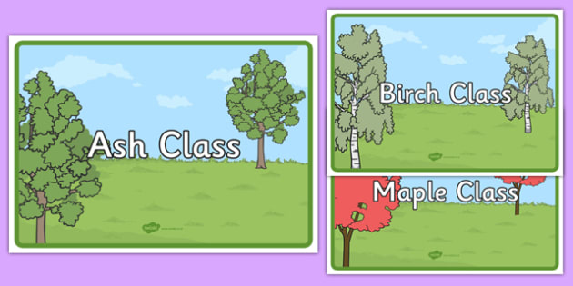 👉 Tree Class A4 Posters