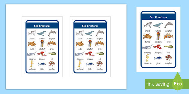 Sea Creatures Prompt Frame (teacher made)