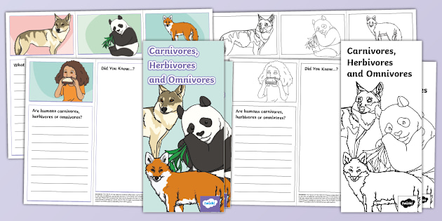 Herbivores Biology Resources | twinkl.co.uk