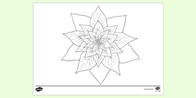 Poinsettia Colouring Page