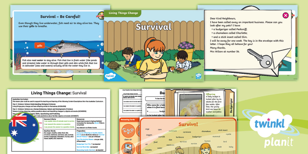 Year 2 Science Living Things Change Lesson 4 (teacher made)