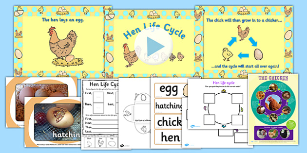 Hen Life Cycle Resource Pack (teacher made)
