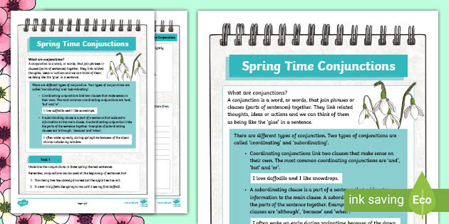 Spring Conjunctions Activity (teacher made)