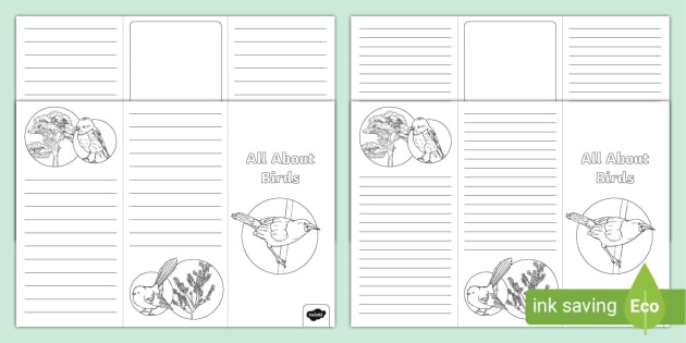 All About Birds Leaflet Template (teacher made)