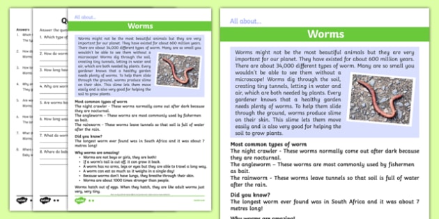 Worms Differentiated Reading Comprehension Activity
