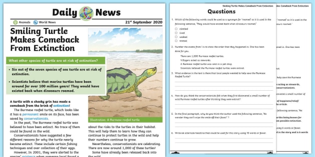 NewsRoom Daily Article - Smiling Turtles - UKS2 Reading Comprehension