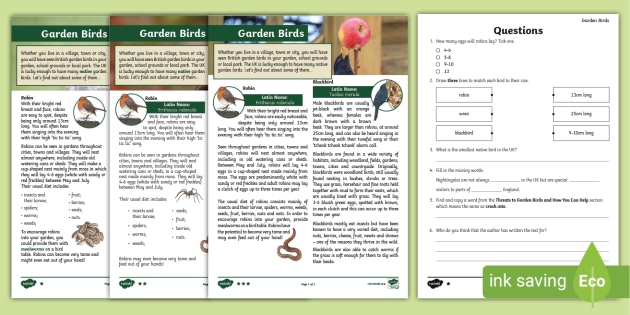 KS2 All about Garden Birds Differentiated Reading Comprehension Activity