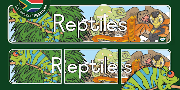 Reptiles for Preschool | twinkl.com.au
