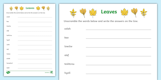Leaves Activities | twinkl.co.uk
