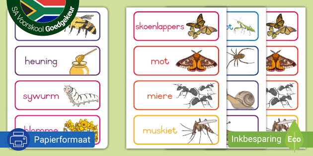 Insekte en Tuingoggas Woordkaarte (creat de profesori)
