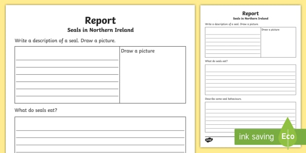 Grey Seals in Northern Ireland Report (teacher made)