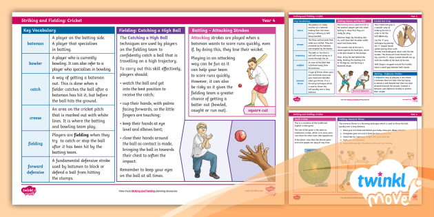 Cricket Physical Education | twinkl.com.au