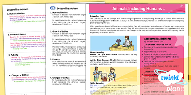 Science: Animals Including Humans Year 5 Planning Overview CfE